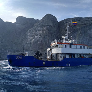 Malpelo Island Scuba Diving | Colombia Dive Adventures