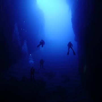 Malpelo Island Scuba Diving | Colombia Dive Adventures