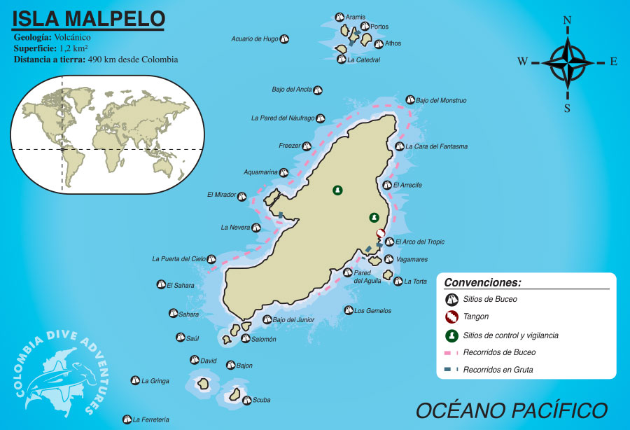 Malpelo Island Scuba Diving | Colombia Dive Adventures