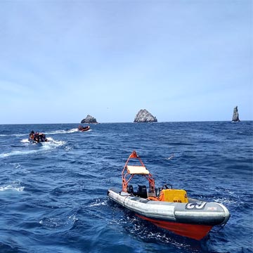 Malpelo Island Scuba Diving | Colombia Dive Adventures