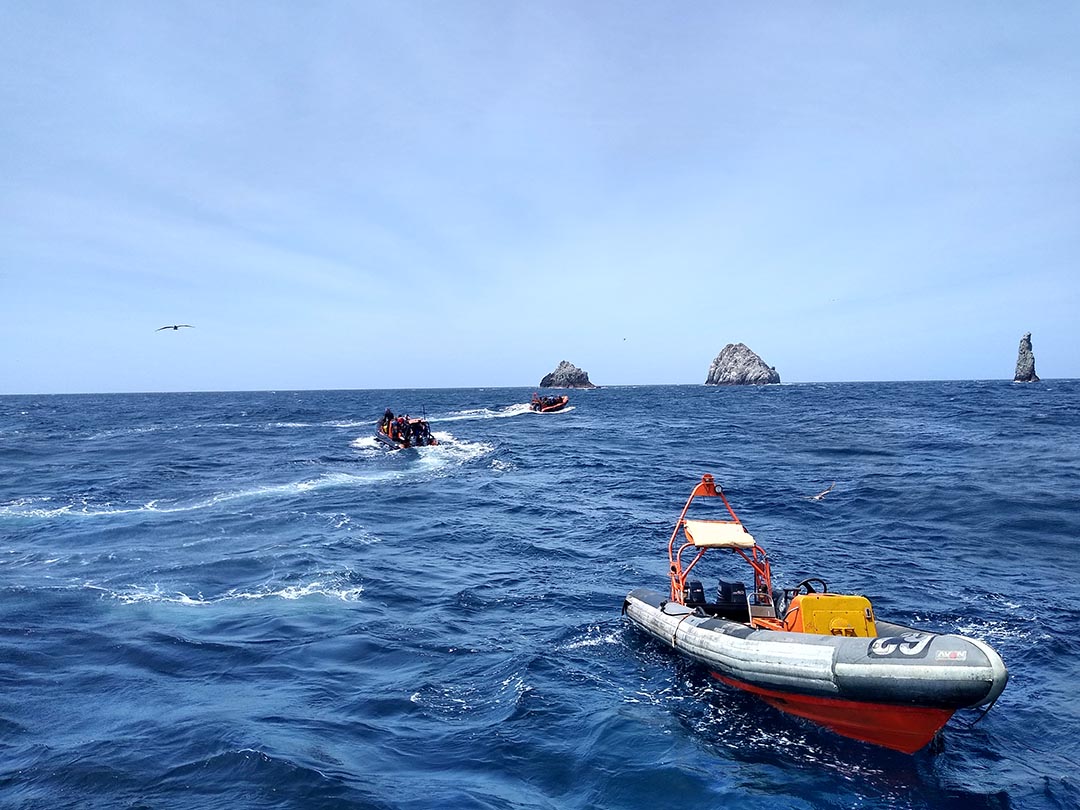 Malpelo Island Scuba Diving | Colombia Dive Adventures