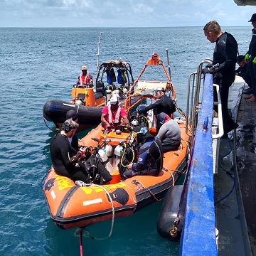 Malpelo Island Scuba Diving | Ferox Liveaboard | Colombia Dive Adventures
